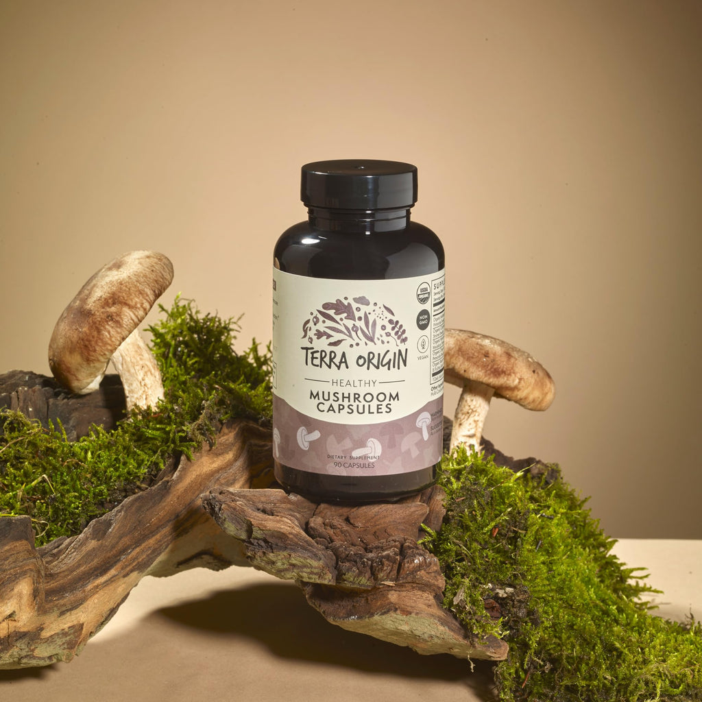 Chaga mushrooms for antioxidant support