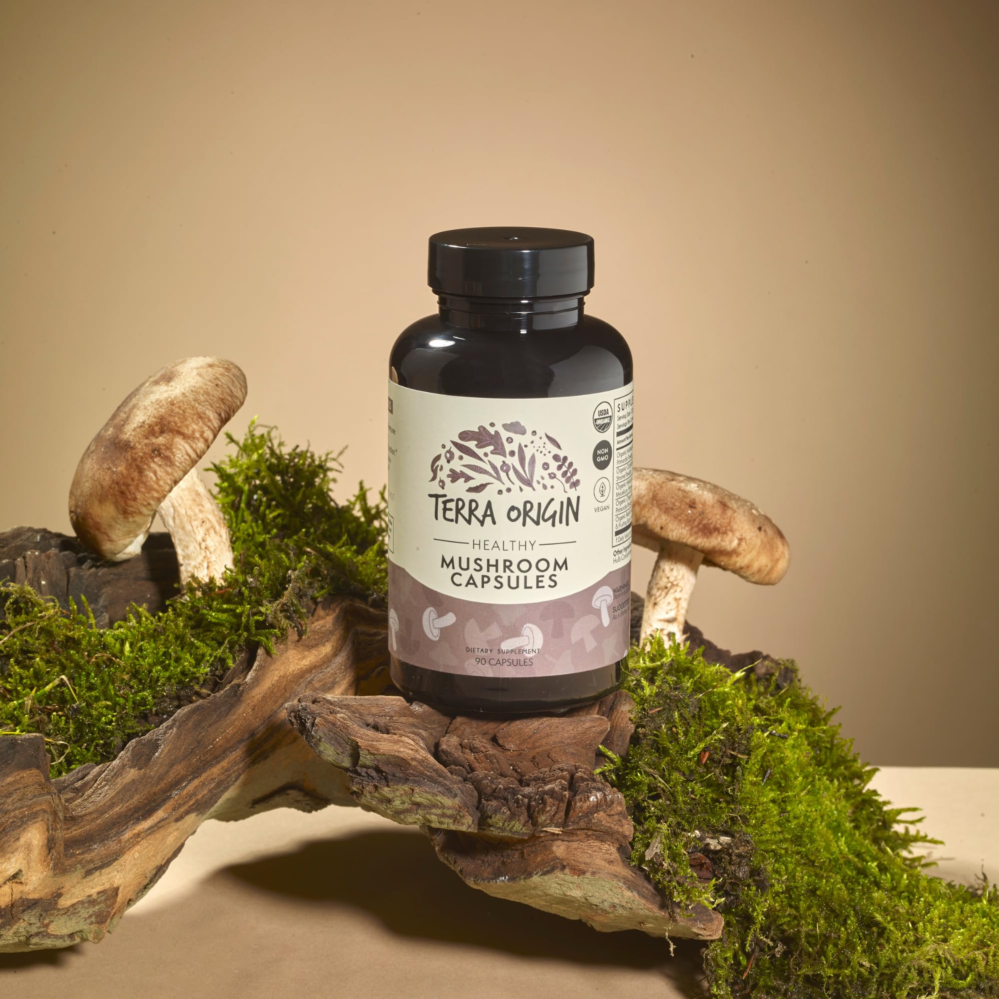 Chaga mushrooms for antioxidant support