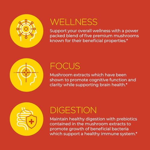 chaga mushrooms for antioxidant support