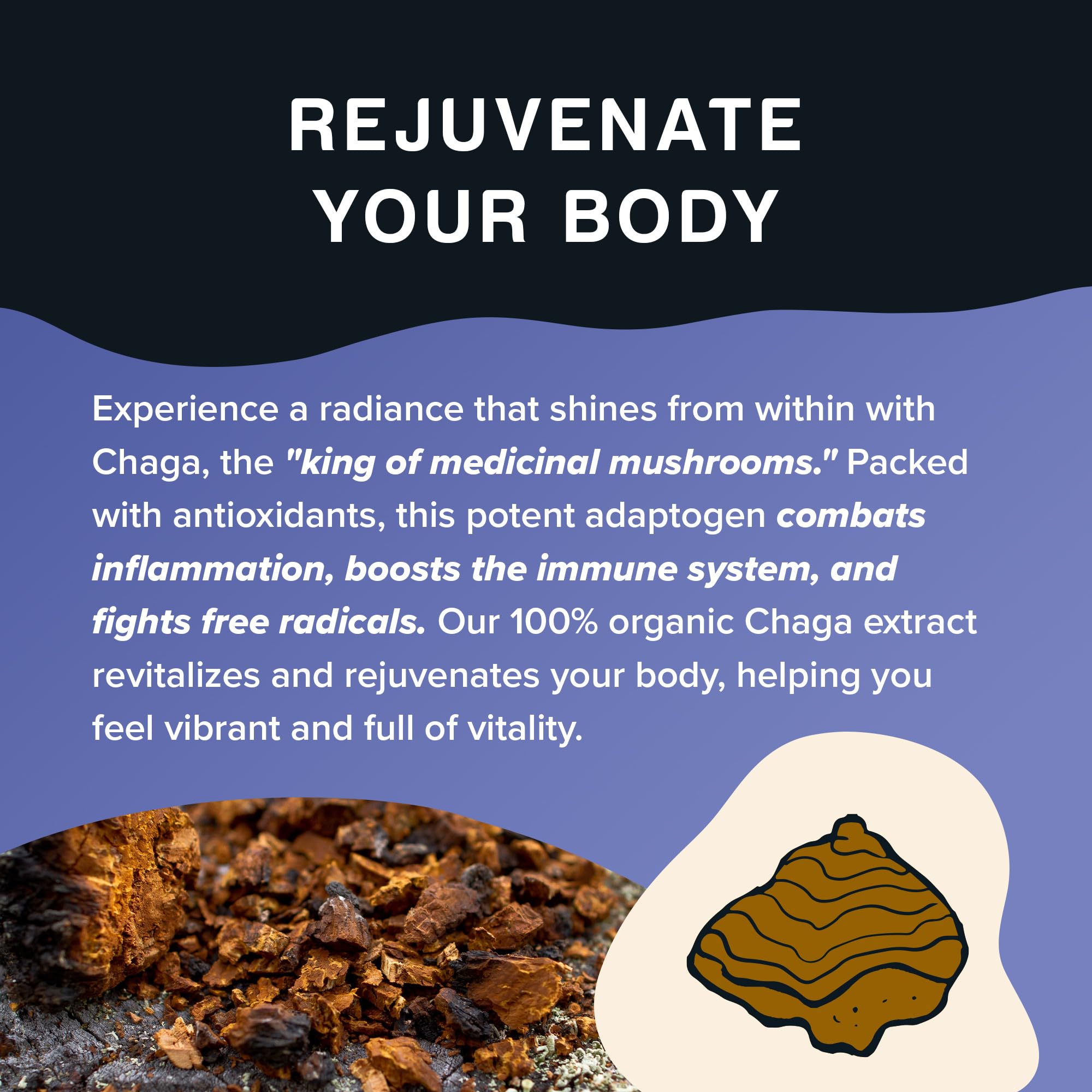 chaga mushrooms for daily energy