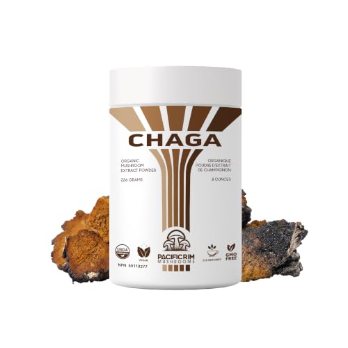 Chaga mushrooms for digestive health