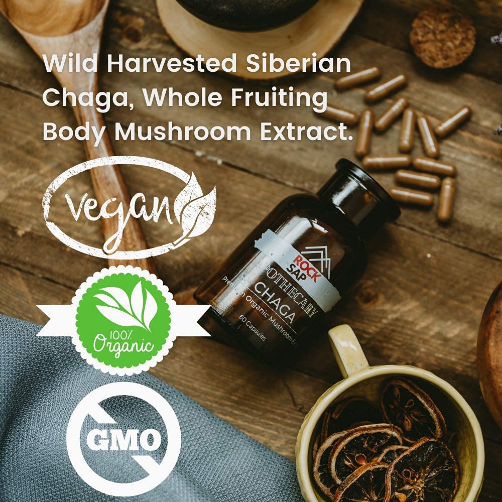 chaga mushrooms for digestive health