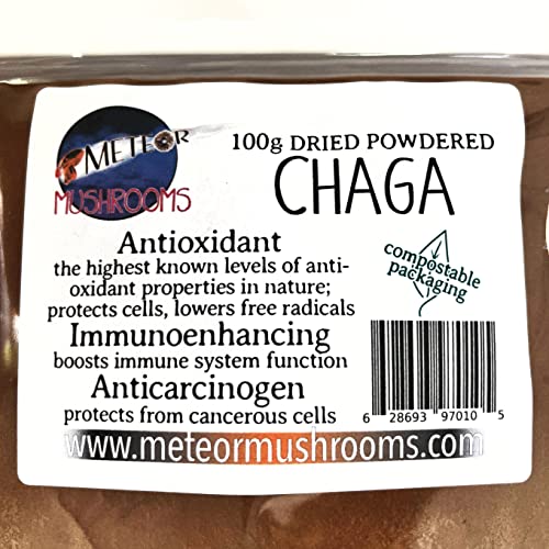 chaga mushrooms for digestive health