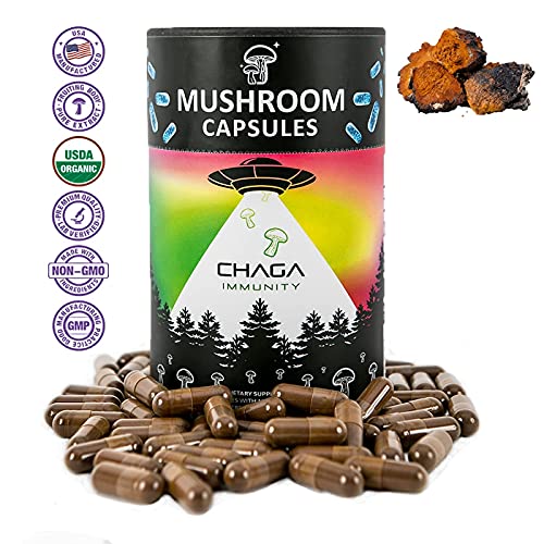 chaga mushrooms for energy and vitality