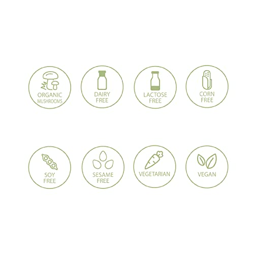 chaga mushrooms for energy boost