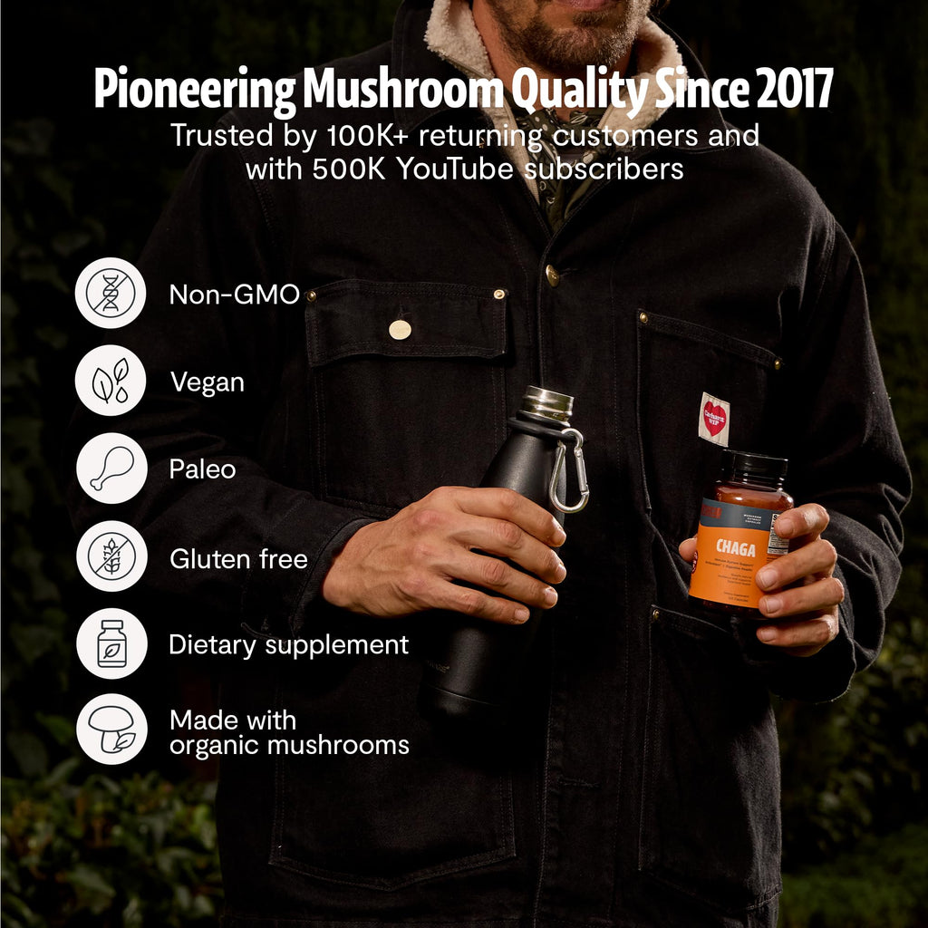 chaga mushrooms for enhanced immunity