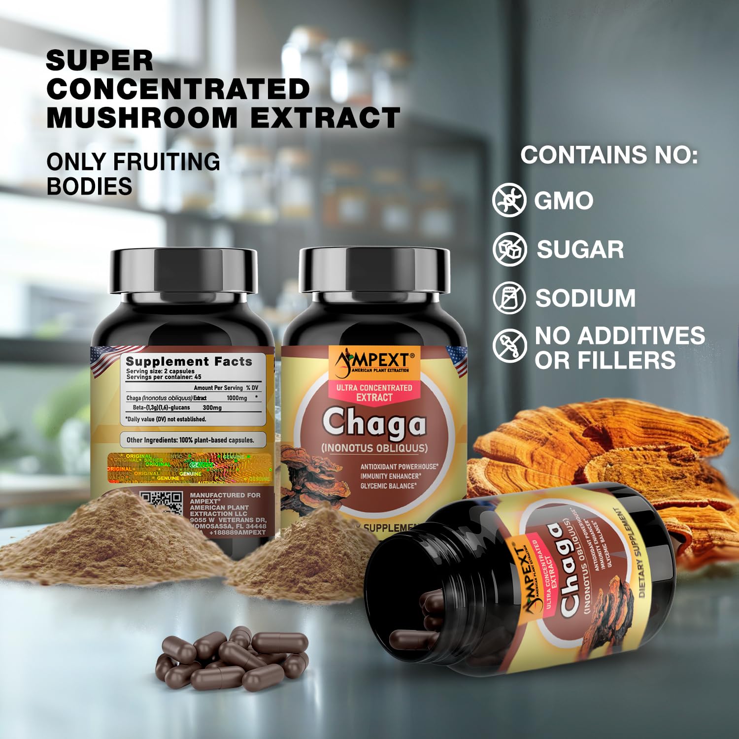 Chaga mushrooms for enhanced wellness