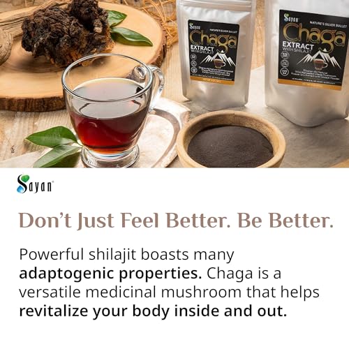 chaga mushrooms for everyday wellness