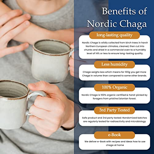 chaga mushrooms for healthy beverages