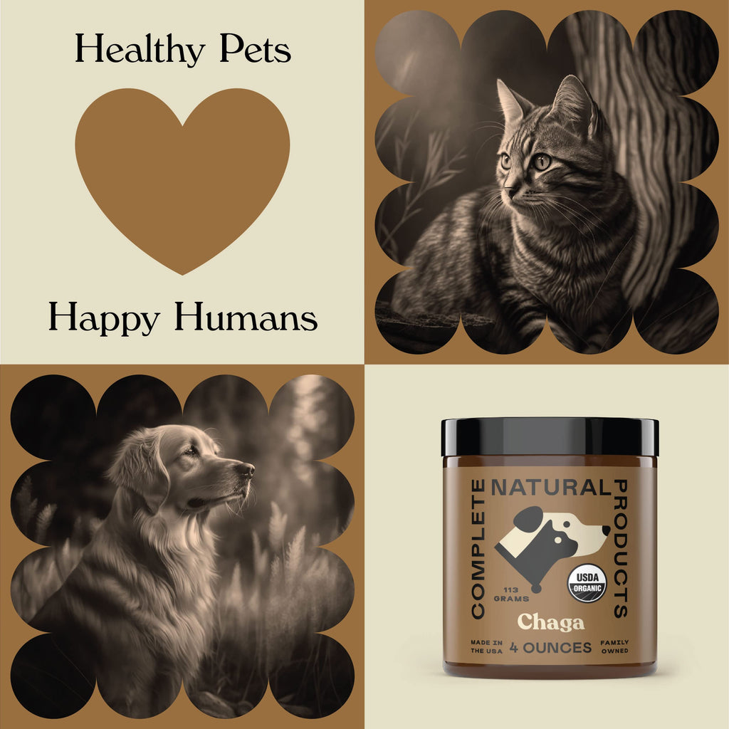 chaga mushrooms for healthy pets