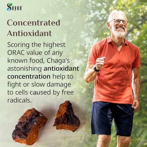 Chaga mushrooms for herbal remedies