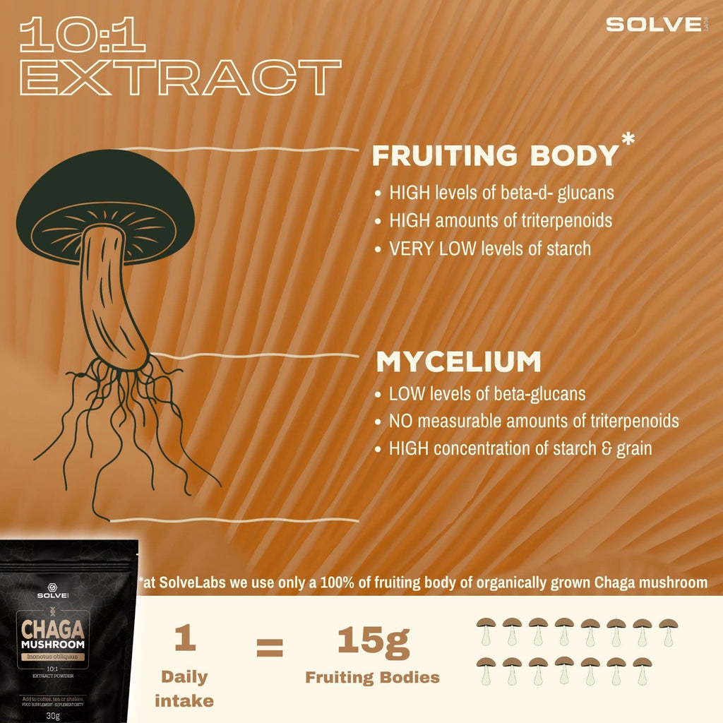 chaga mushrooms for holistic healing