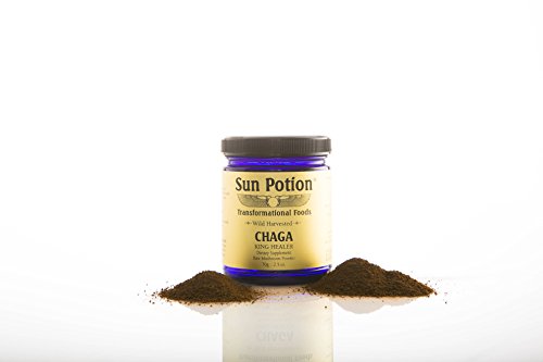 chaga mushrooms for holistic health