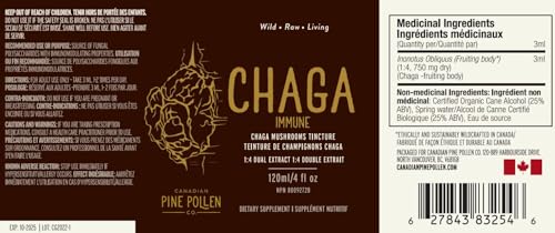 chaga mushrooms for holistic nutrition