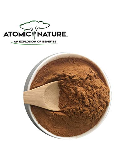chaga mushrooms for holistic wellness