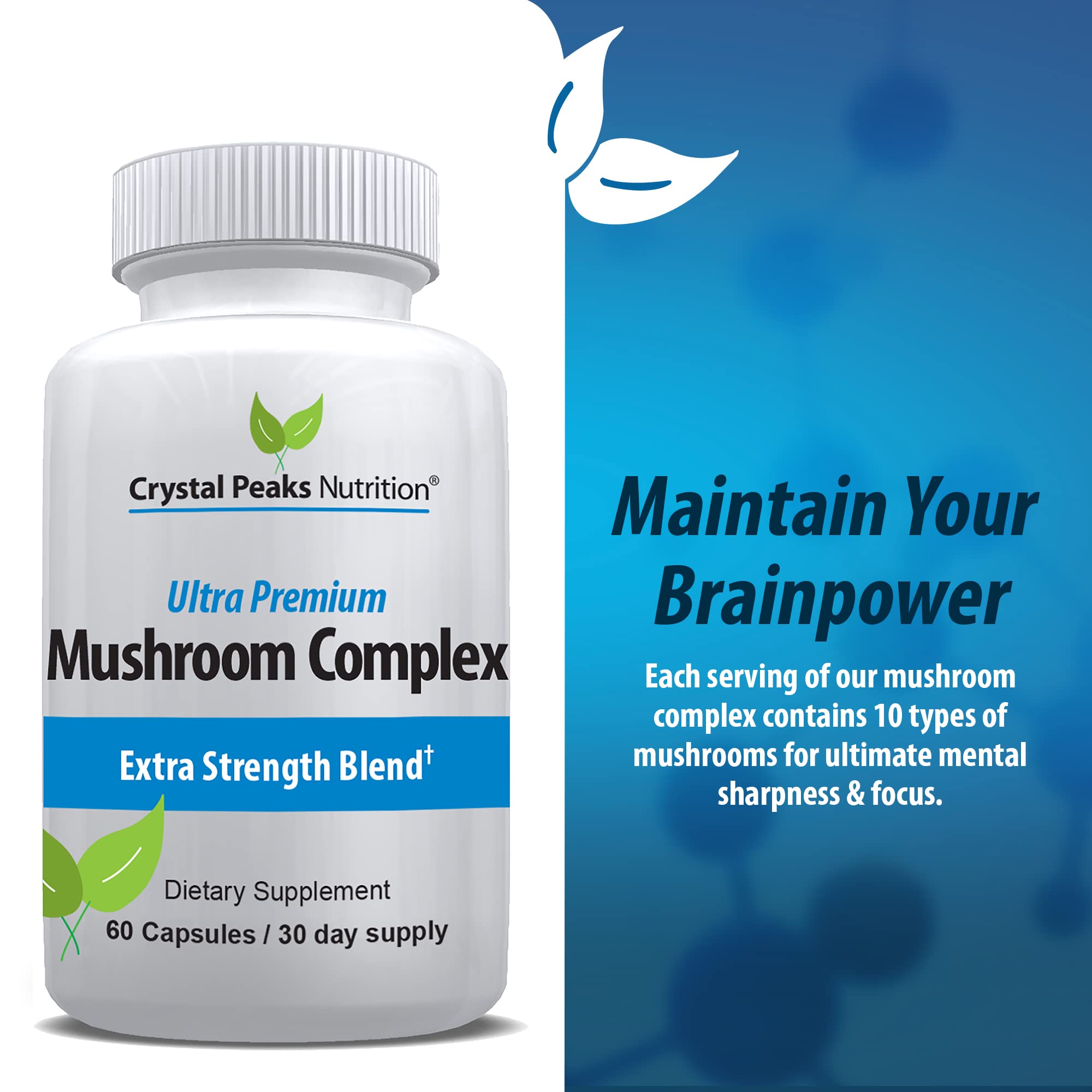 Chaga mushrooms for immune health