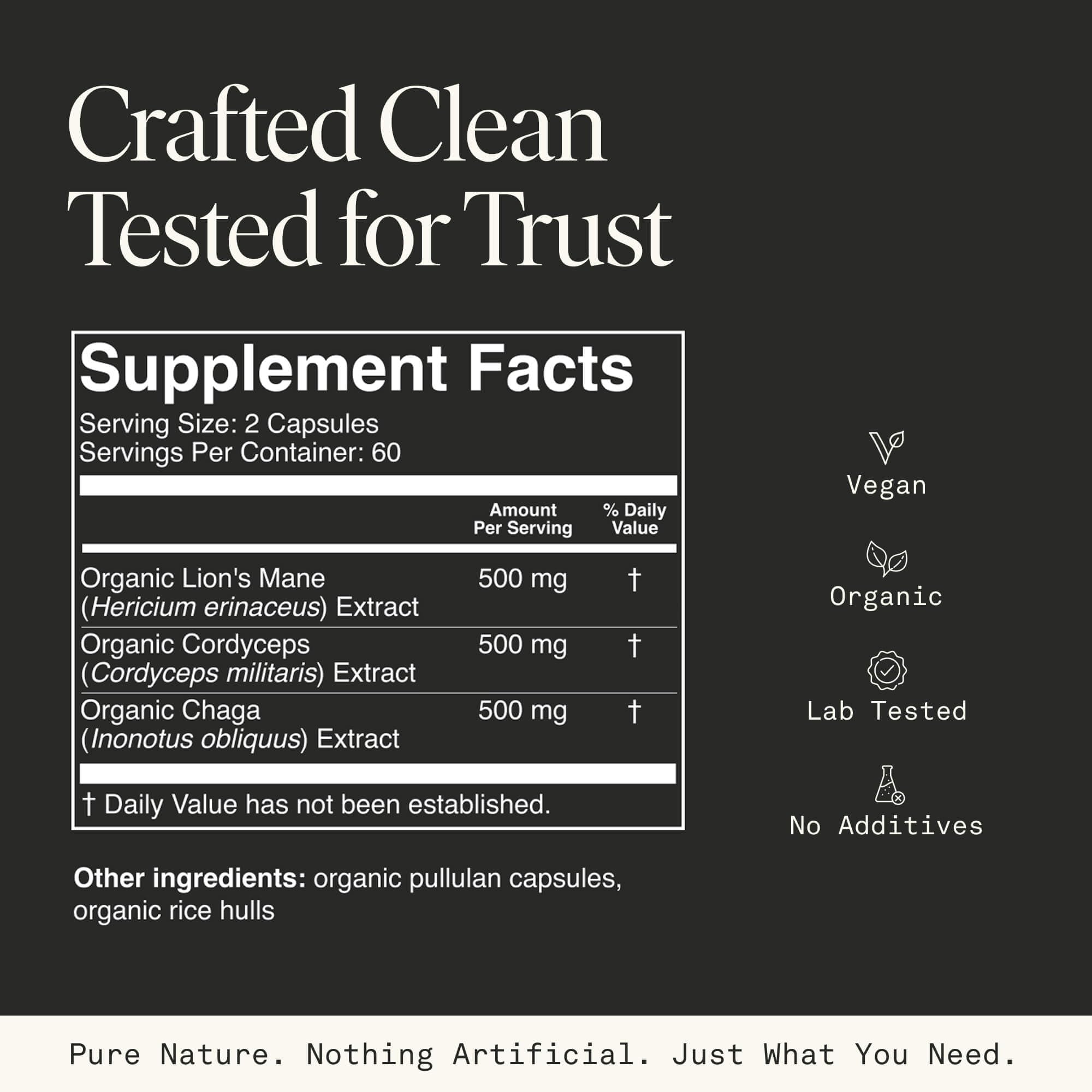 Chaga mushrooms for immune support