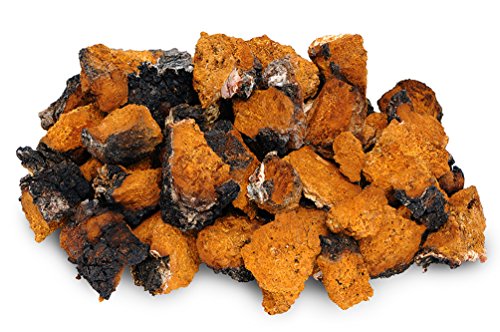 chaga mushrooms for immune support