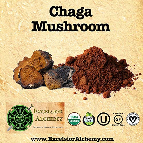 chaga mushrooms for immune support