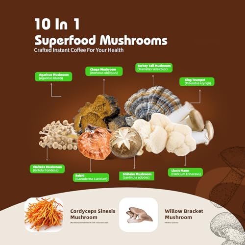 chaga mushrooms for immune support