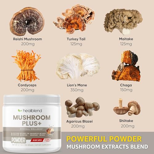 Chaga mushrooms for immune support