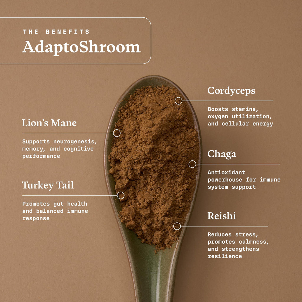 Chaga mushrooms for immune support