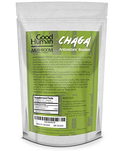 chaga mushrooms for immune support