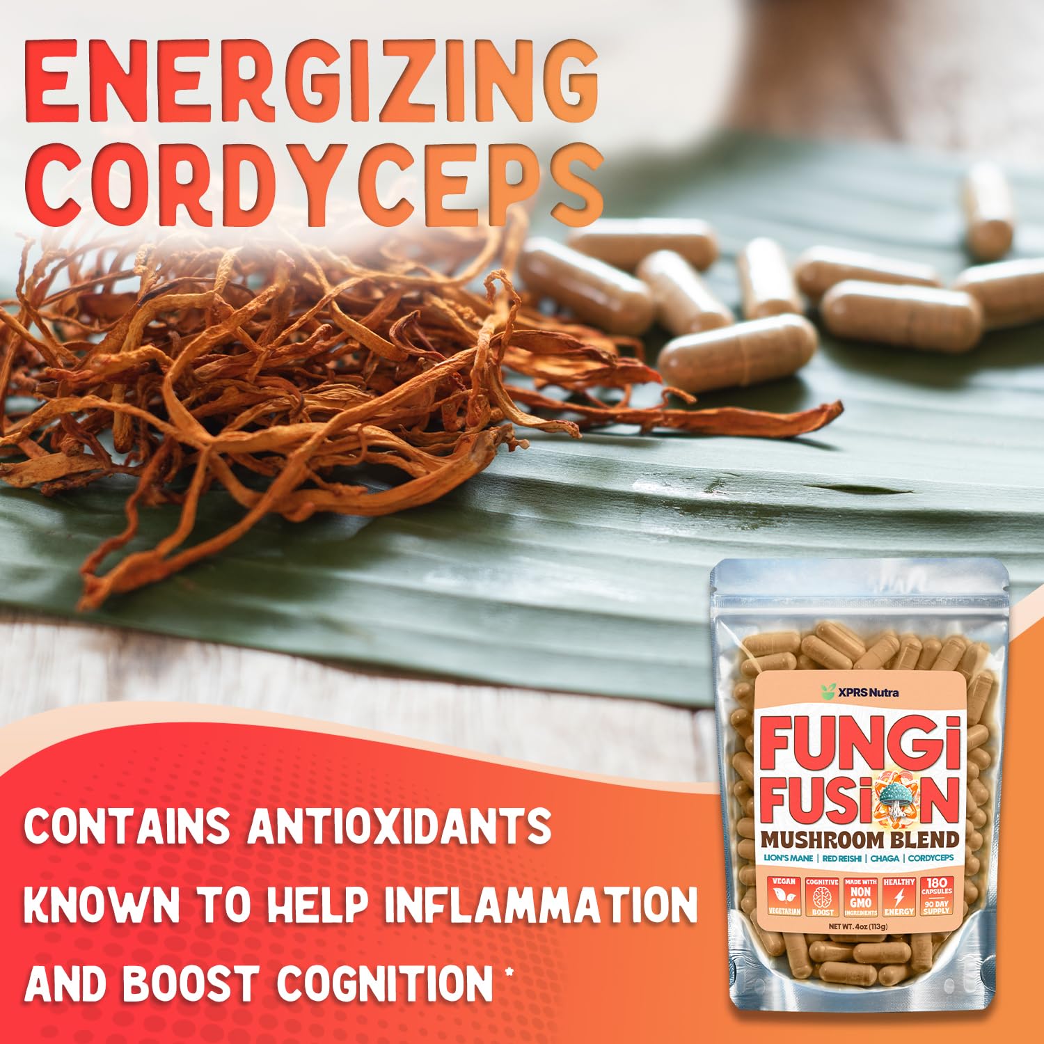Chaga mushrooms for immune support