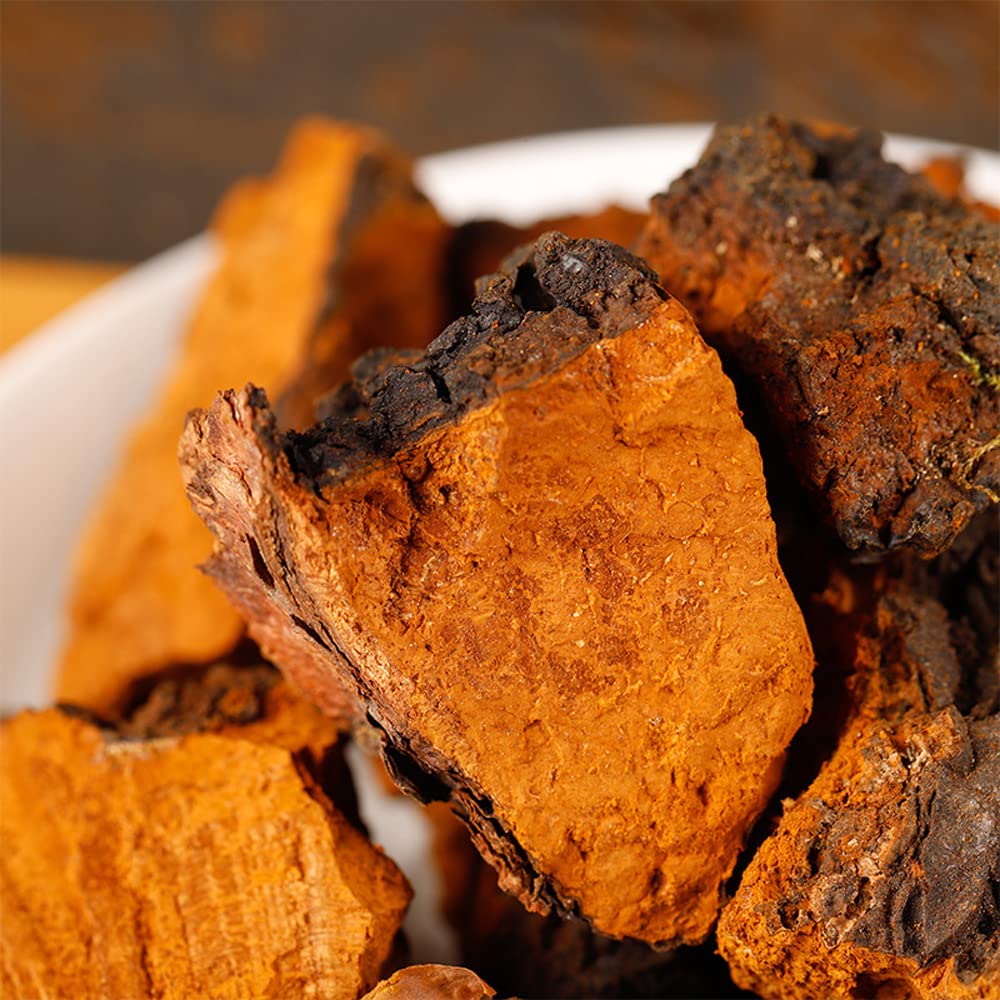 Chaga mushrooms for immune support