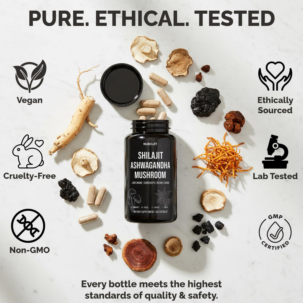 Chaga mushrooms for immune support