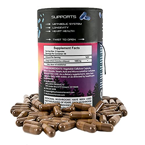 chaga mushrooms for immune system boost