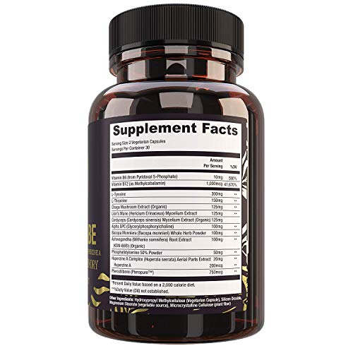 Chaga mushrooms for improved cognitive function