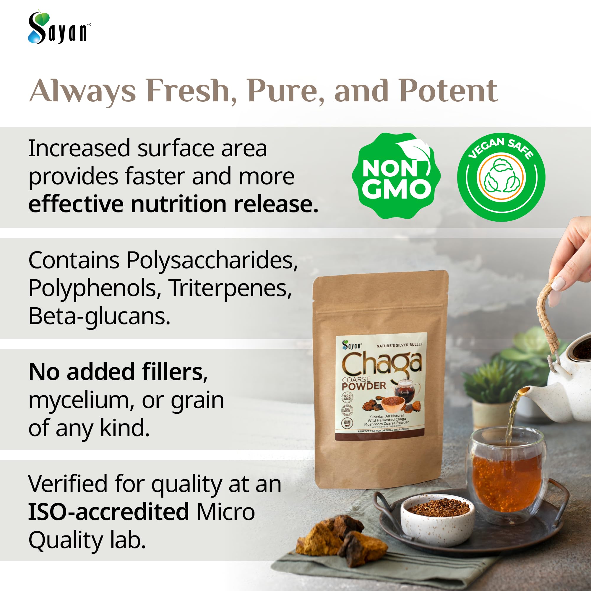 Chaga mushrooms for natural antioxidant support