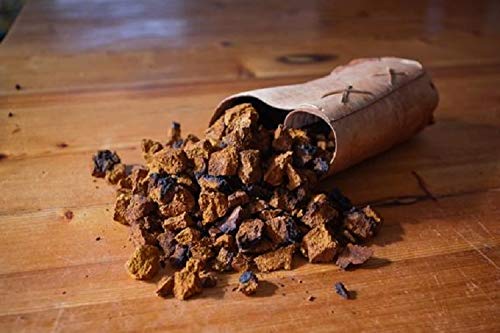 chaga mushrooms for natural energy