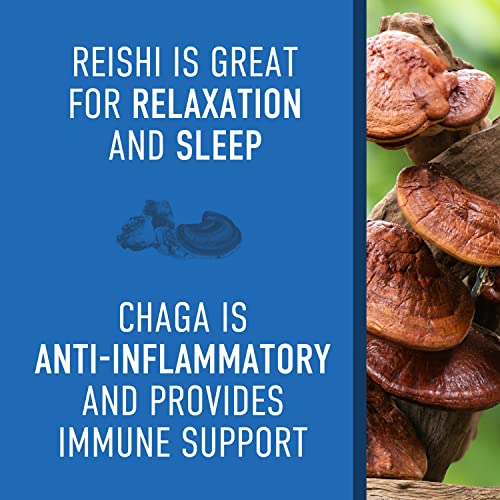 chaga mushrooms for overall health benefits