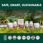 chaga mushrooms for overall health