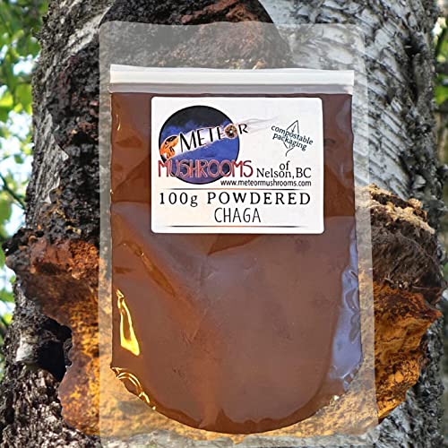 chaga mushrooms for overall health