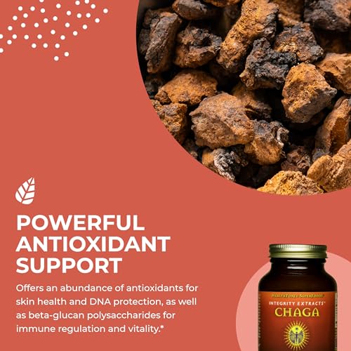 chaga mushrooms for overall wellness