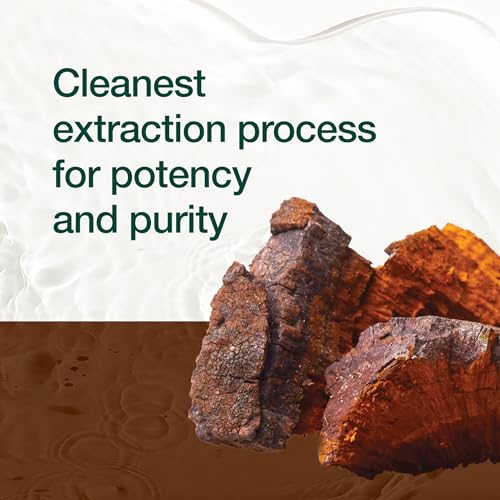 chaga mushrooms for stress relief