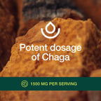 chaga mushrooms for stress relief
