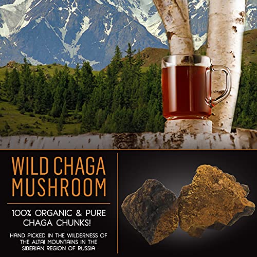 chaga mushrooms for stress relief
