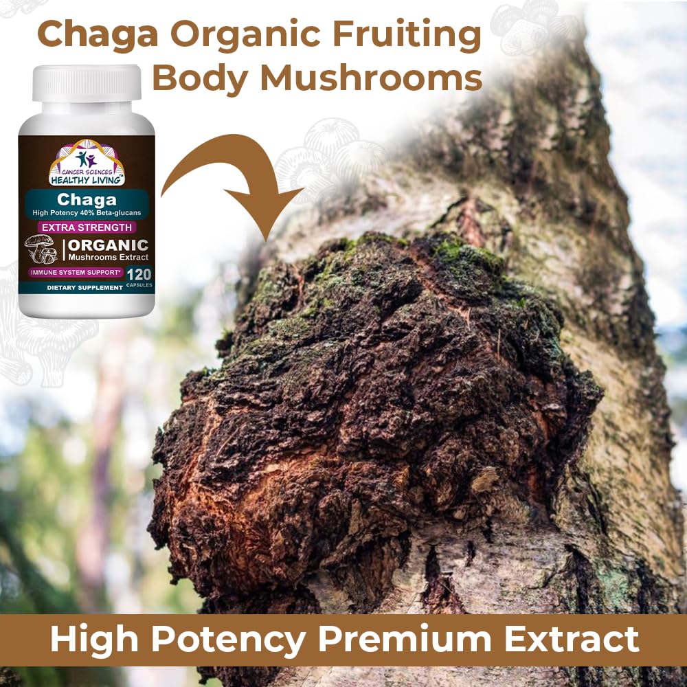 Chaga mushrooms for stress relief
