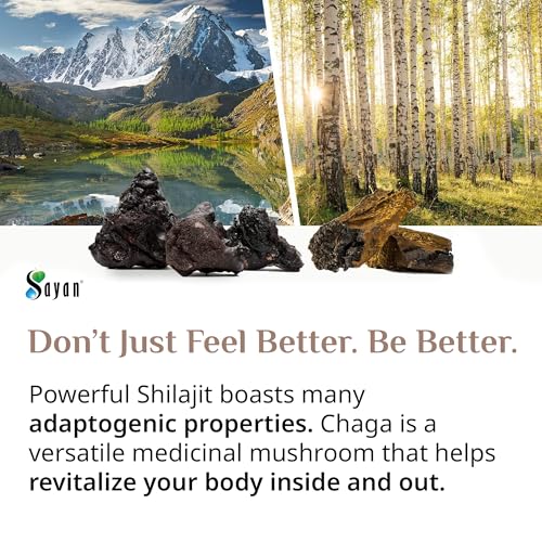 Chaga mushrooms for wellness and vitality