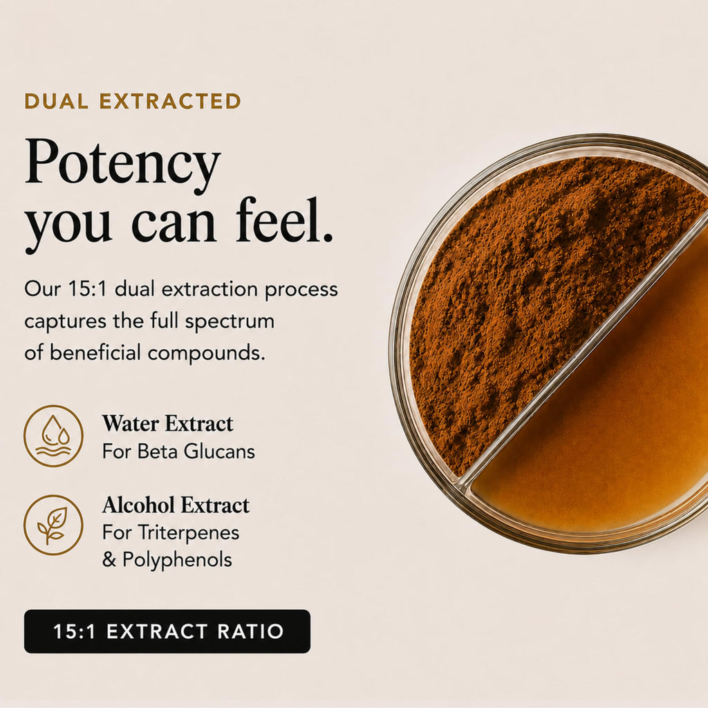 Chaga mushrooms for wellness support