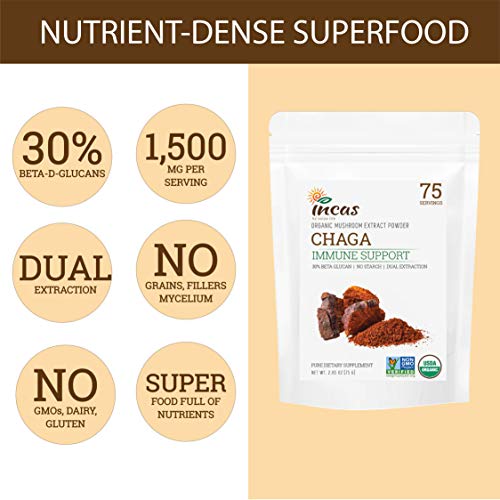 chaga mushrooms for wellness