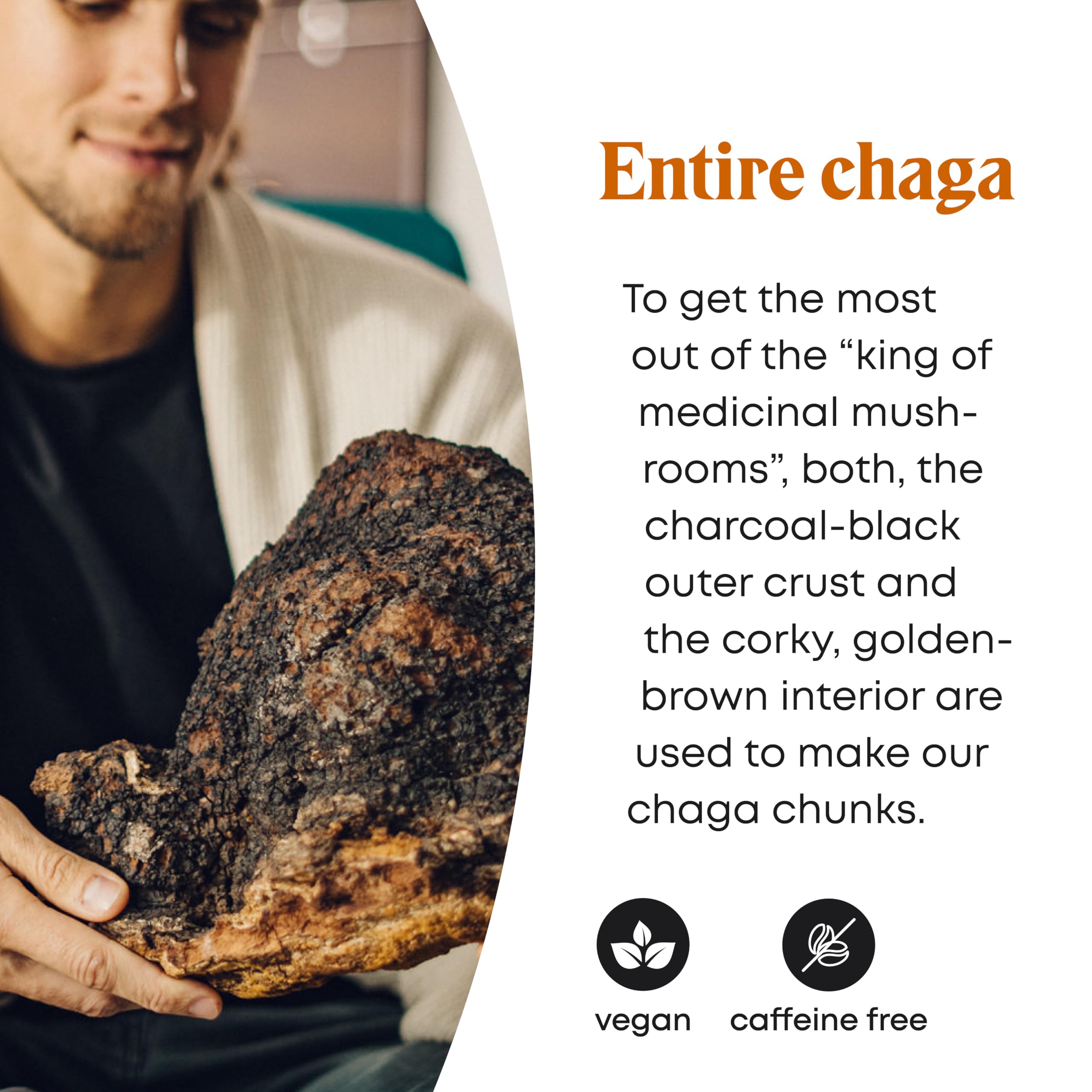 chaga mushrooms from Estonian birch