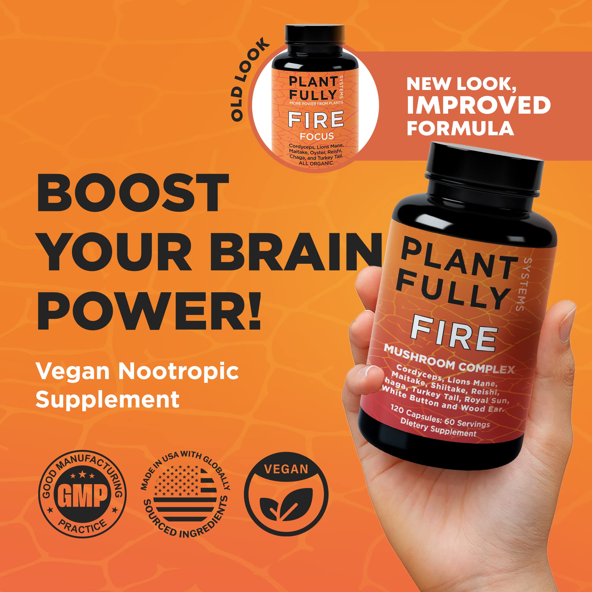 Chaga mushrooms rich in antioxidants