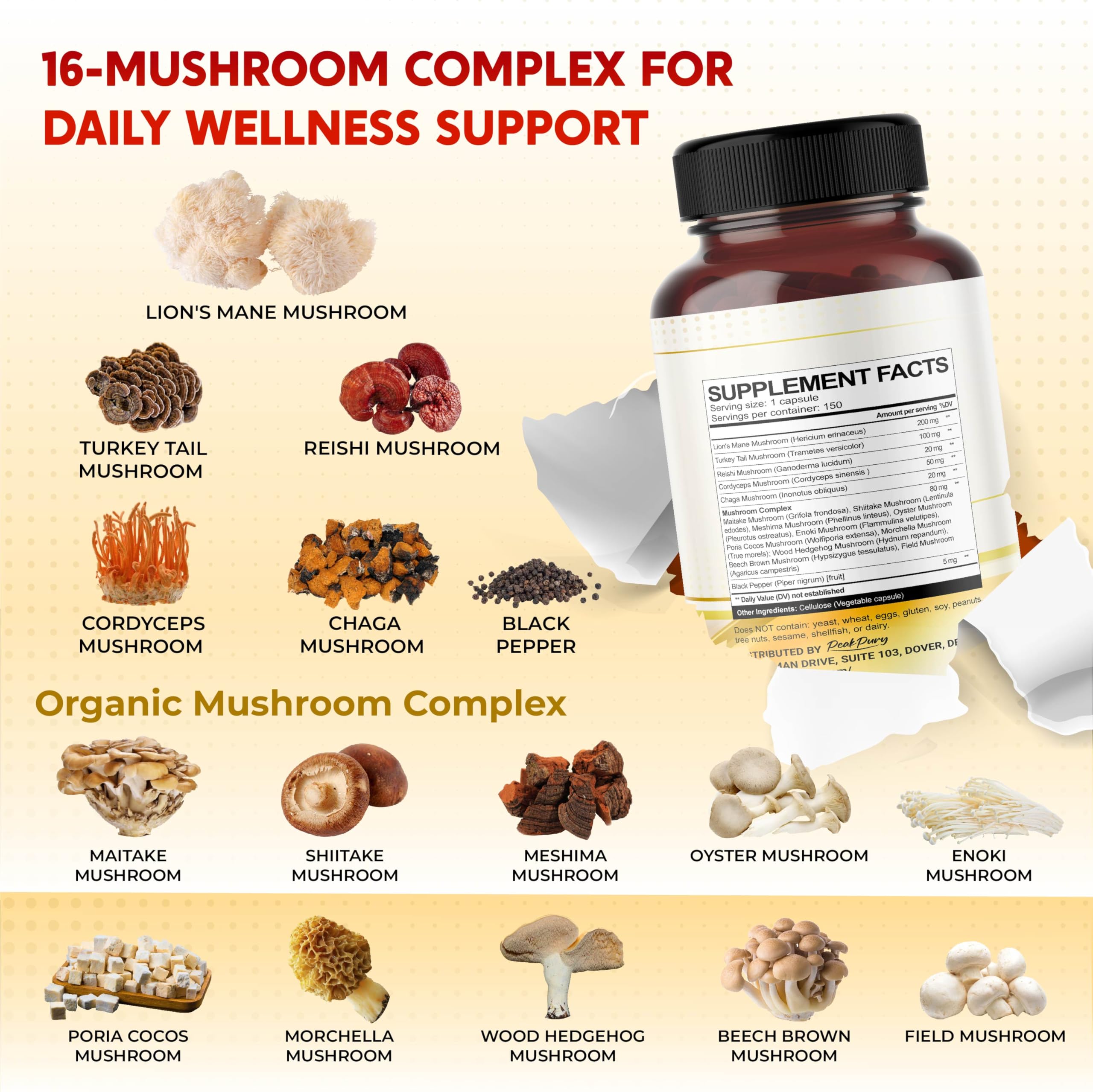 Chaga mushrooms rich in antioxidants