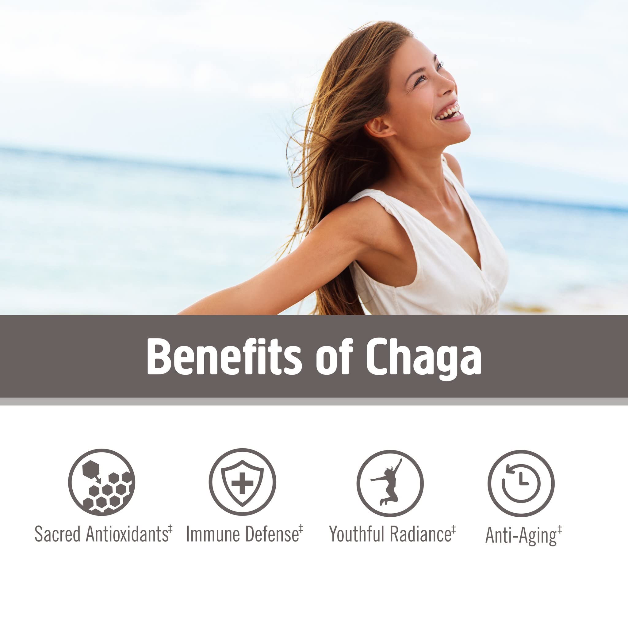 chaga powder for enhanced immune function