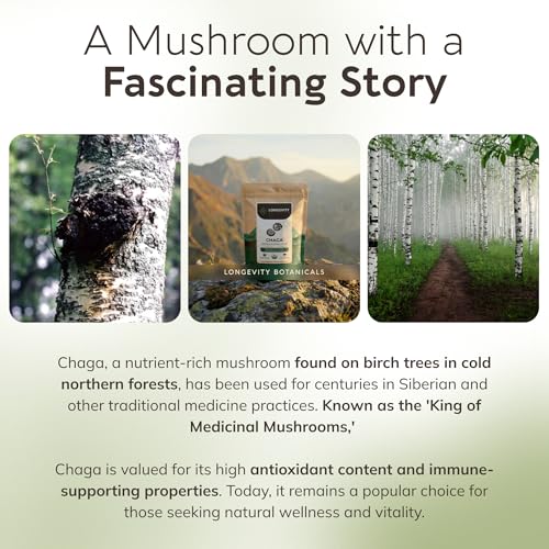 chaga powder for herbal tea blends